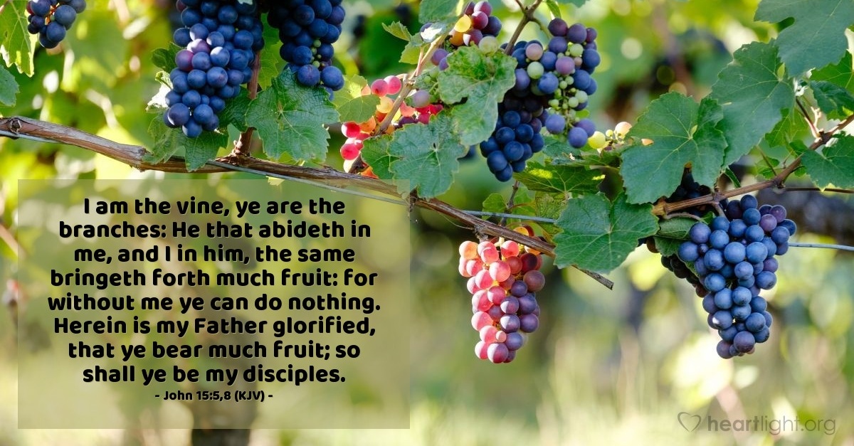 John 15 5 8 KJV Today s Verse For Sunday December 9 2018 john-15-5-8-kjv-today-s-verse-for-sunday-december-9-2018