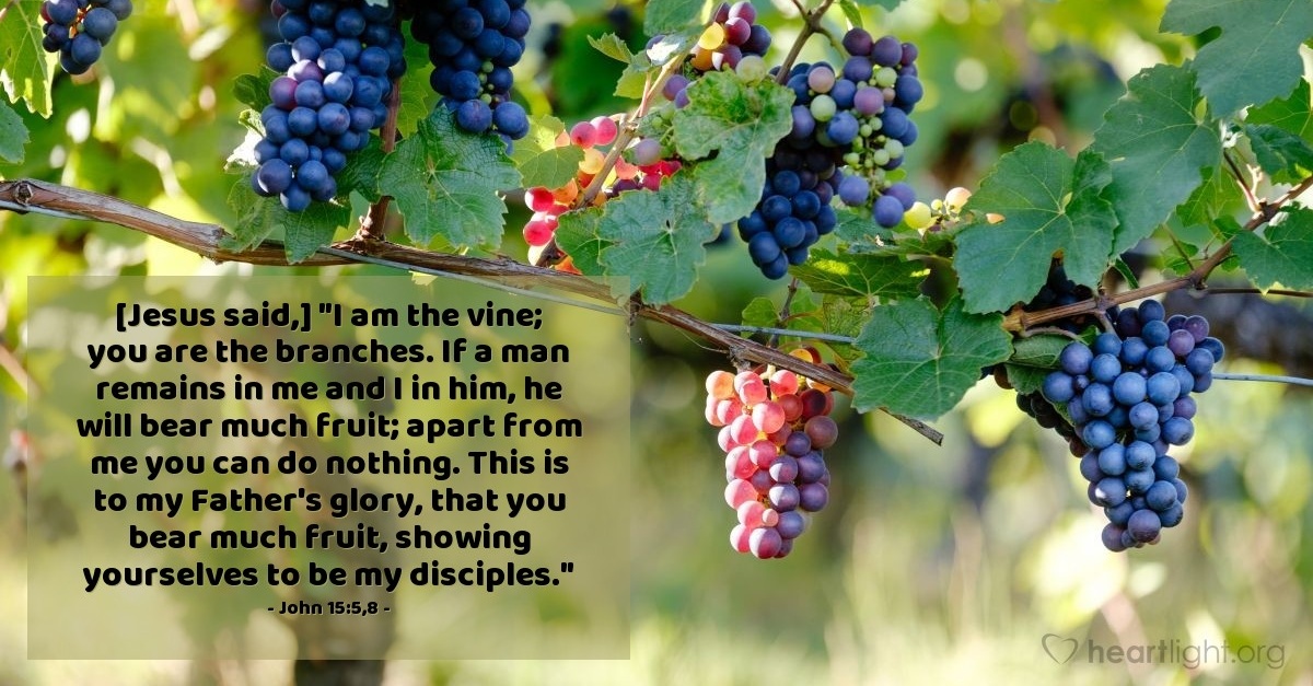 John 15 5 8 Today s Verse For Monday December 9 2002 john-15-5-8-today-s-verse-for-monday-december-9-2002