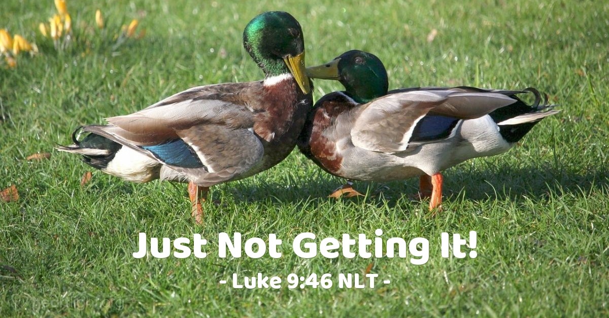 Just Not Getting It Luke 9 46 What Jesus Did just-not-getting-it-luke-9-46-what-jesus-did