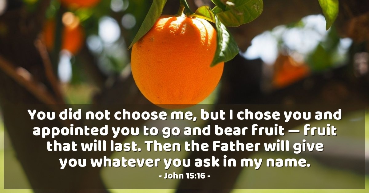 John 15 16 Verse Of The Day For 08 17 2009 john-15-16-verse-of-the-day-for-08-17-2009