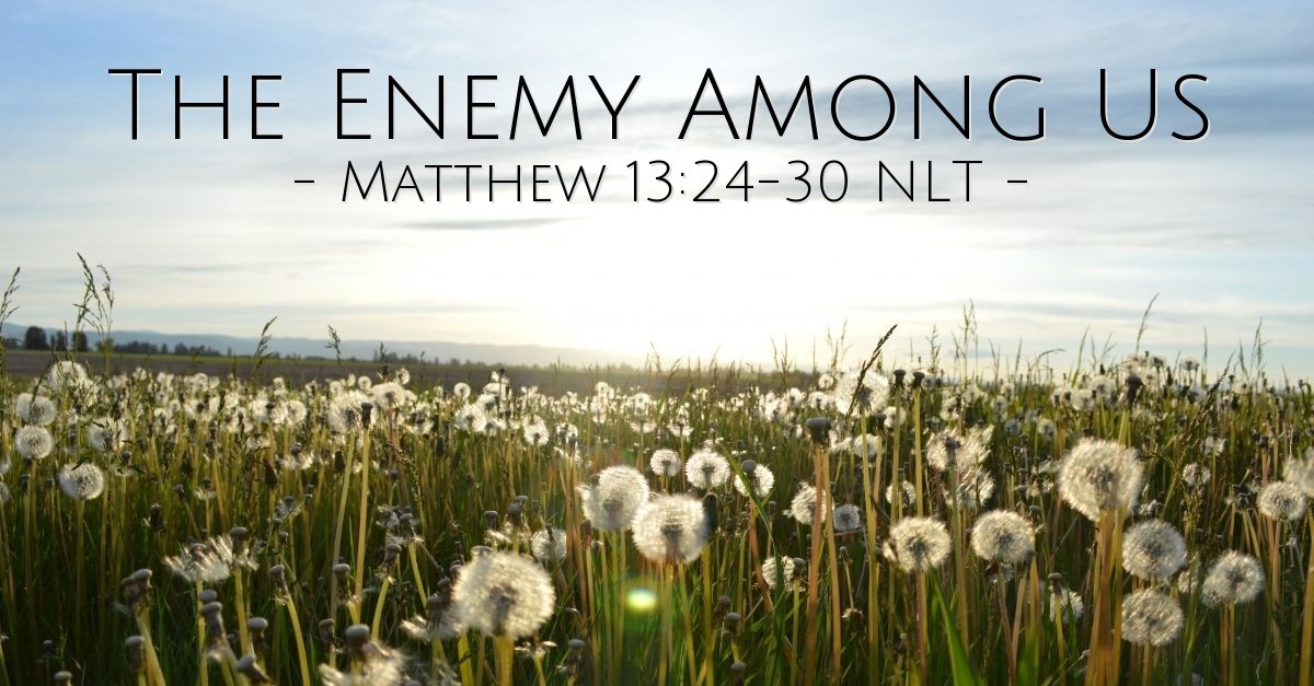 The Enemy Among Us Matthew 13 24 30 What Jesus Did the-enemy-among-us-matthew-13-24-30-what-jesus-did