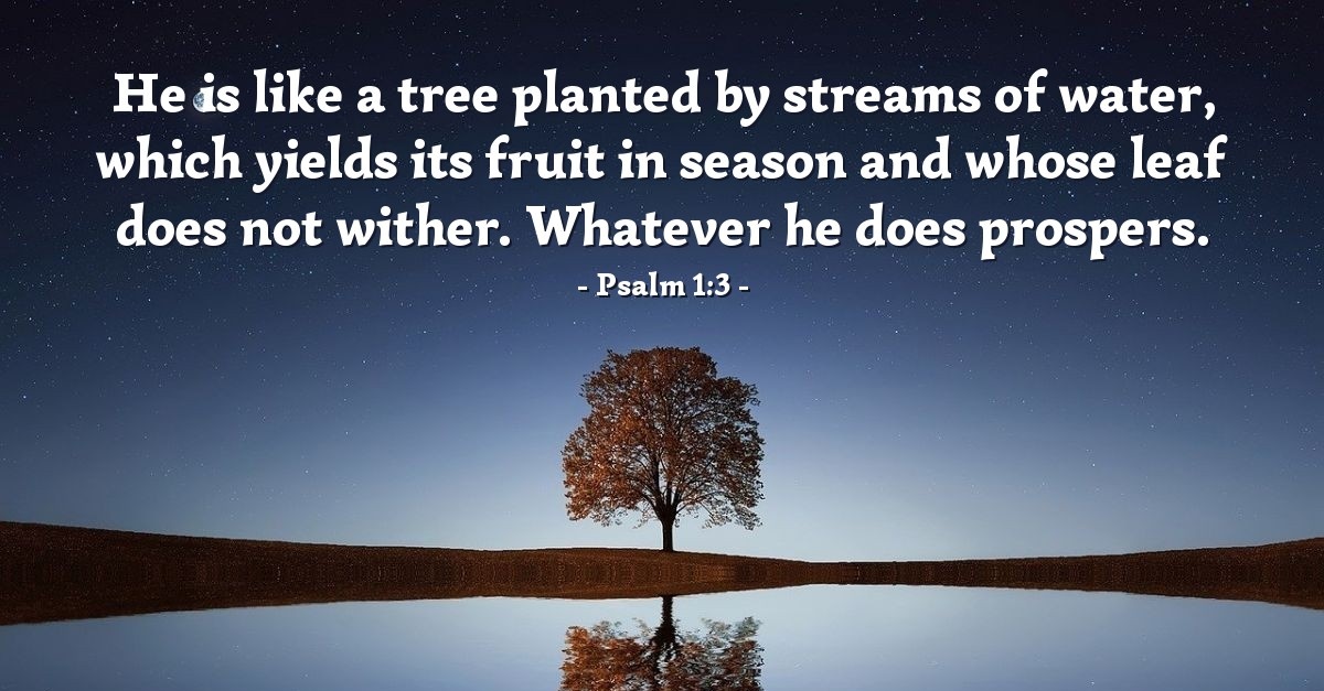 Psalm 1 3 Verse Of The Day For 01 27 2013 psalm-1-3-verse-of-the-day-for-01-27-2013
