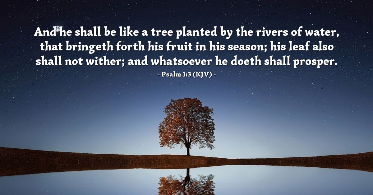 Psalm 1 3 KJV Today s Verse For Sunday January 27 2013 psalm-1-3-kjv-today-s-verse-for-sunday-january-27-2013