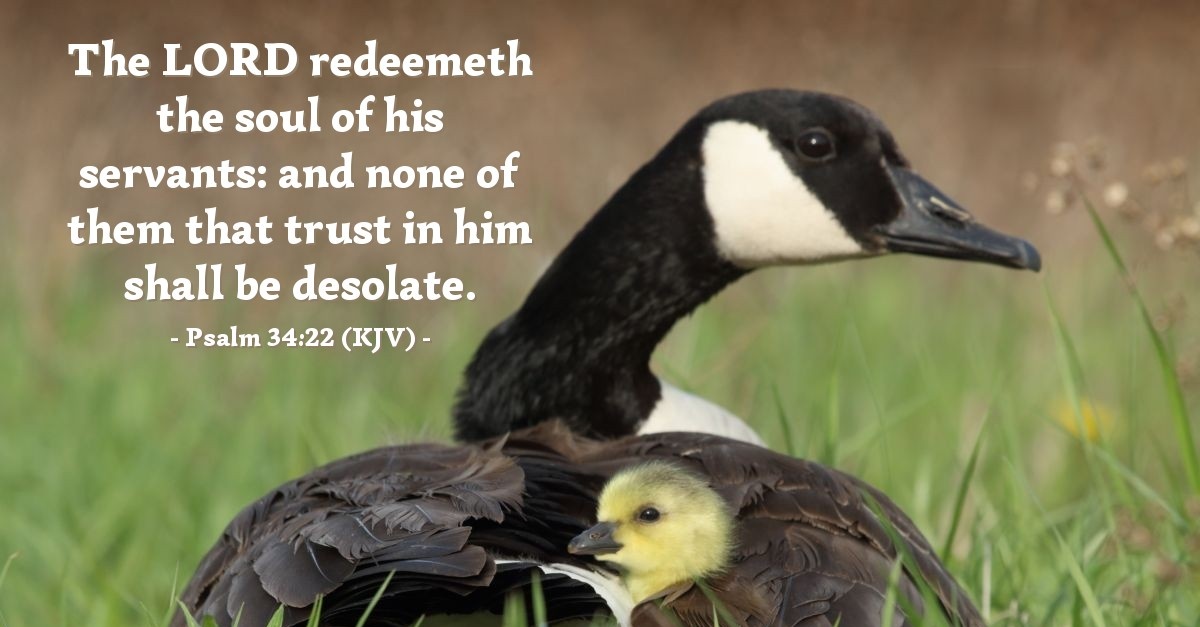 Psalm 34 22 KJV Today s Verse For Sunday October 20 2013 psalm-34-22-kjv-today-s-verse-for-sunday-october-20-2013