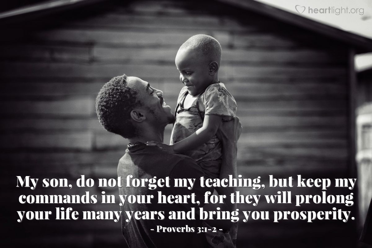 Proverbs 3 1 2 Verse Of The Day For 05 16 4021 Proverbs 3 1 2 Verse Of The Day For 05 16 4021