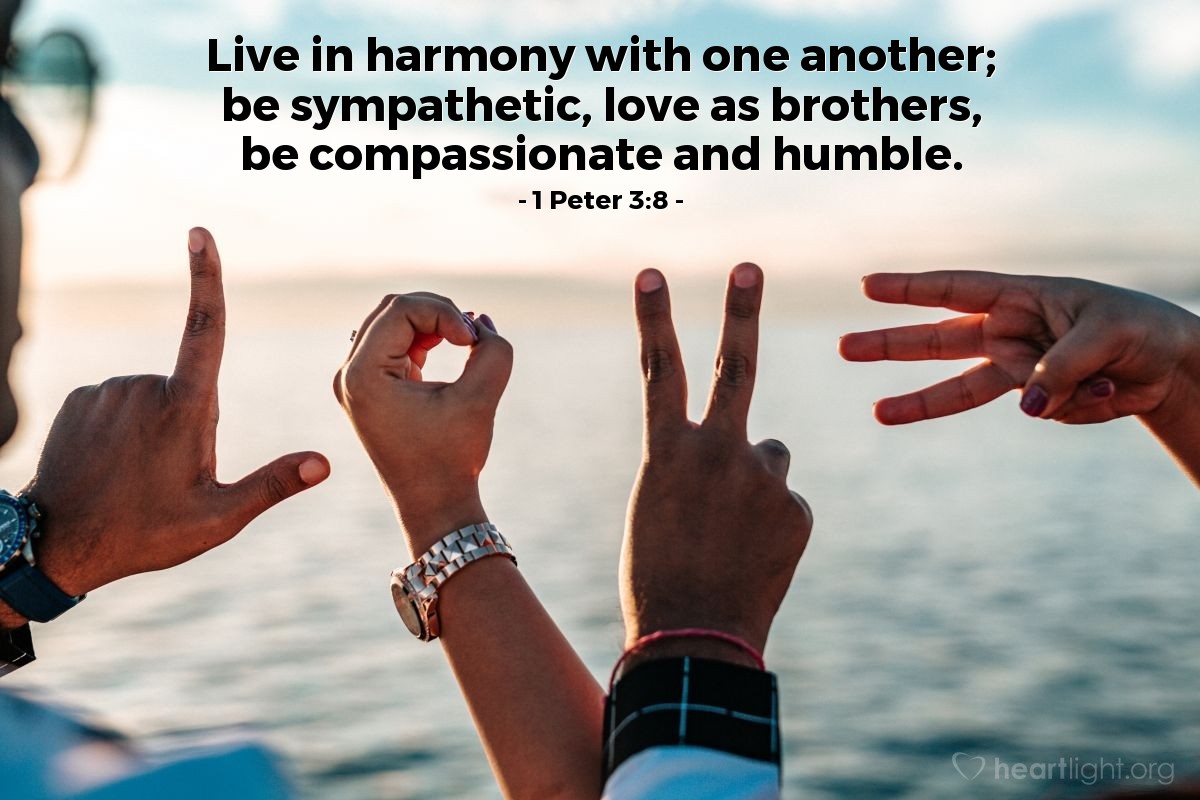1 Peter 3 8 Verse Of The Day For 09 13 2014