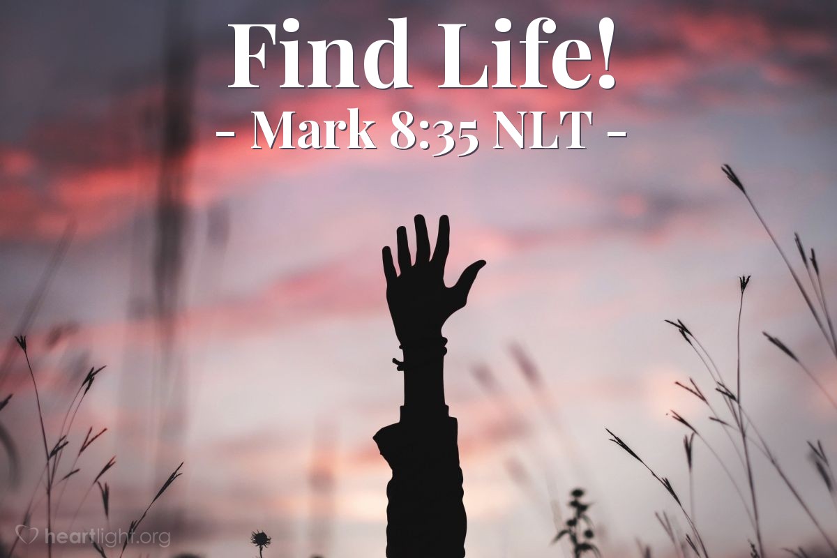 Find Life Mark 8 35 What Jesus Did Find Life Mark 8 35 What Jesus Did