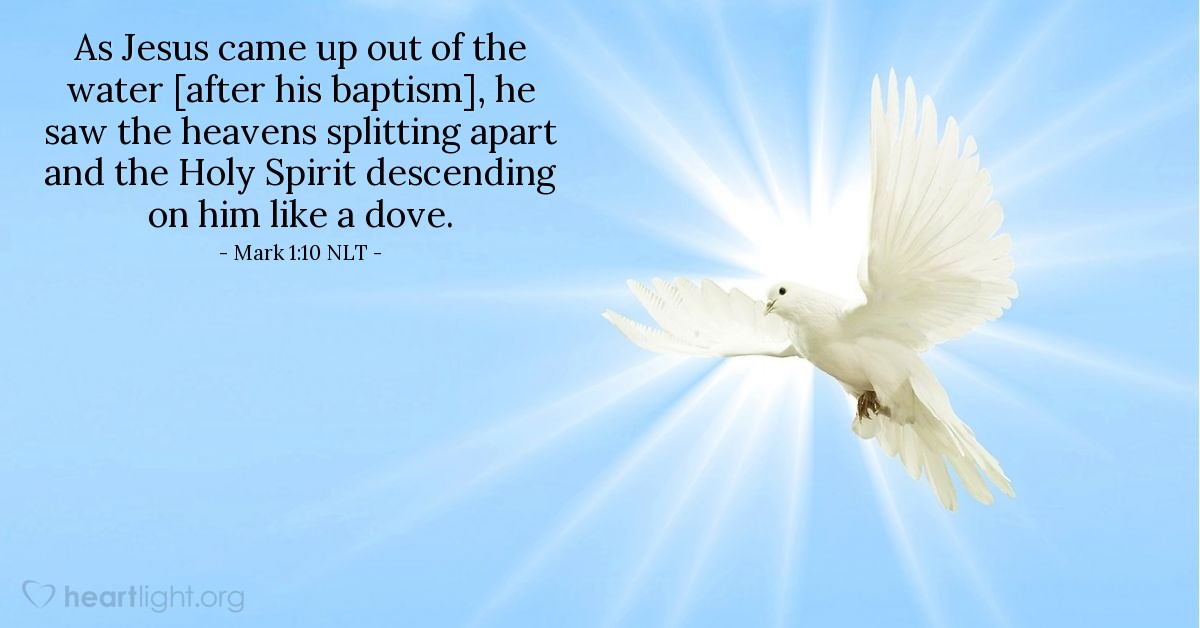Mark 1 10 NLT Illustrated The Heavens Split Apart Heartlight Gallery