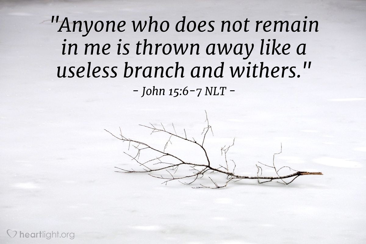  Remaining Joined To Jesus John 15 6 7 What Jesus Did 